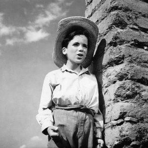 Michel Ray - Rotten Tomatoes