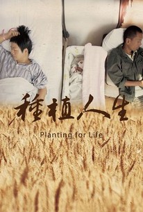 Planting for Life | Rotten Tomatoes