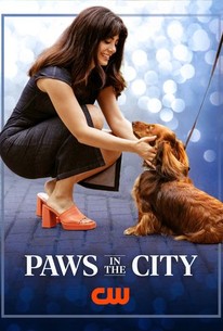 Paws in the City | Rotten Tomatoes