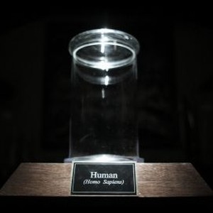The Final Member - Rotten Tomatoes