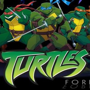 Teenage Mutant Ninja Turtles: Turtles Forever - Rotten Tomatoes