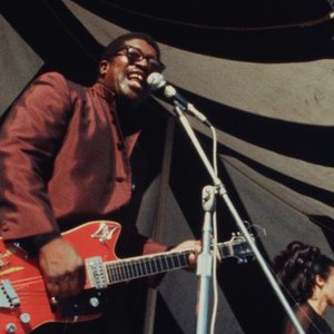 REVIVAL69: The Concert that Rocked the World - Rotten Tomatoes