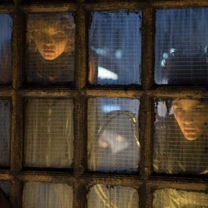 Michelle Veintimilla - Rotten Tomatoes