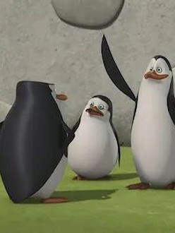 madagascar 3 private