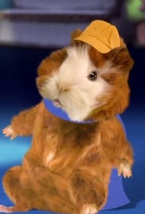 The Wonder Pets!: Season 3, Episode 23 - Rotten Tomatoes