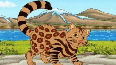 go diego go image gallery