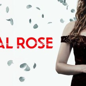 The Final Rose - Rotten Tomatoes