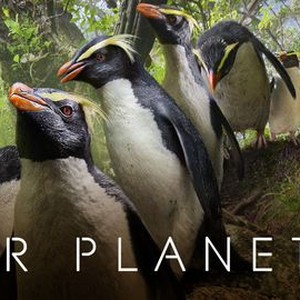 Our Planet II - Rotten Tomatoes