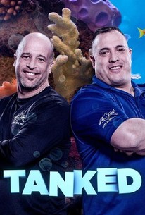 Tanked: Season 10 | Rotten Tomatoes