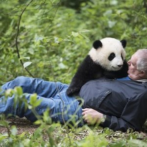 Pandas - Rotten Tomatoes