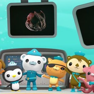 Octonauts: Creature Reports: Season 1, Episode 29 - Rotten Tomatoes