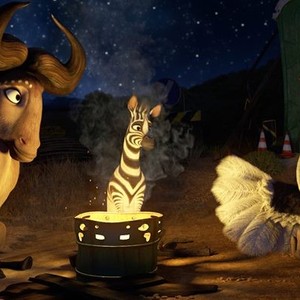 Khumba - Rotten Tomatoes