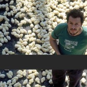 Smalltown, Italy - Rotten Tomatoes