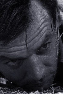 The Fugitive: Season 2, Episode 7 | Rotten Tomatoes