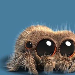 Lucas the Spider - Rotten Tomatoes