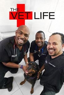 The Vet Life: Season 6 | Rotten Tomatoes