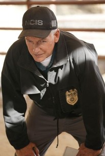 NCIS: Season 17, Episode 7 | Rotten Tomatoes