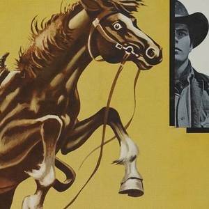 He Rides Tall - Rotten Tomatoes