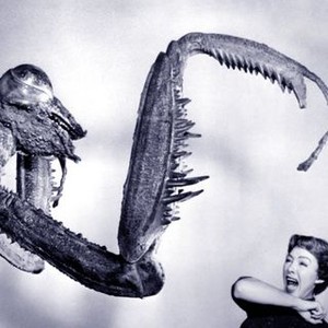 Deadly Mantis (1978) - Rotten Tomatoes
