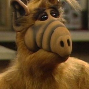 ALF: Season 3, Episode 14 - Rotten Tomatoes