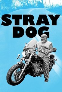 Stray Dog | Rotten Tomatoes