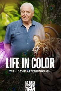 Attenborough's Life in Colour: Miniseries | Rotten Tomatoes