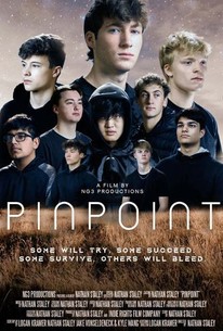 Pinpoint | Reviews | Rotten Tomatoes