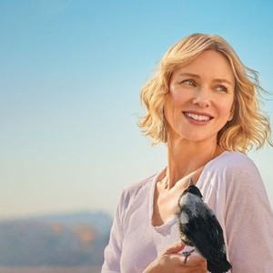 Penguin Bloom - Rotten Tomatoes