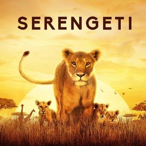 Serengeti - Rotten Tomatoes