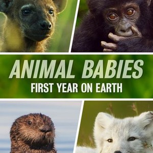 Animal Babies: First Year on Earth - Rotten Tomatoes