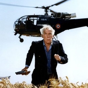 Dog Day - Rotten Tomatoes