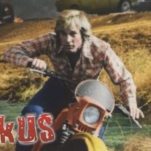 Ruckus - Rotten Tomatoes