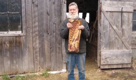 Peter and the Farm - Rotten Tomatoes