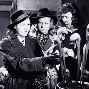 Kitty Foyle - Rotten Tomatoes