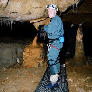 Cave of Forgotten Dreams - Rotten Tomatoes