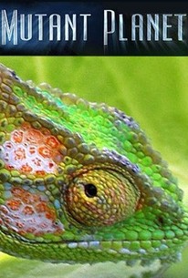 Mutant Planet | Rotten Tomatoes