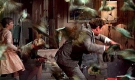 The Birds - Rotten Tomatoes