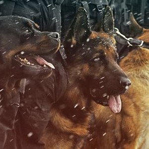 K-9 Border Wars - Rotten Tomatoes