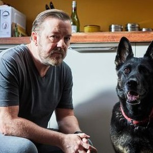 After Life - Rotten Tomatoes