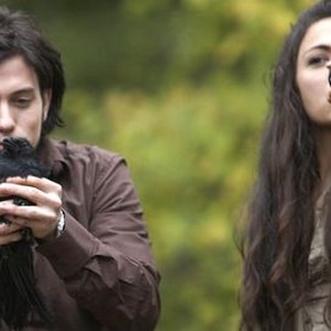 Dread - Rotten Tomatoes