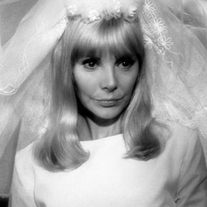 Barbara Ferris - Rotten Tomatoes