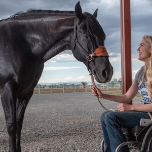 Walk. Ride. Rodeo. - Rotten Tomatoes