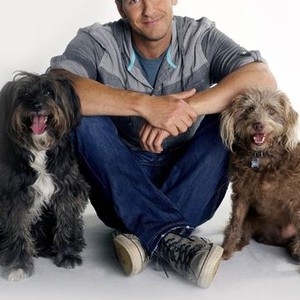 Lucky Dog - Rotten Tomatoes