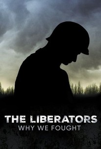 The Liberators: Why We Fought (2015) | Rotten Tomatoes