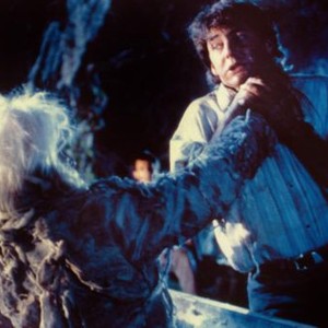 Arye Gross - Rotten Tomatoes