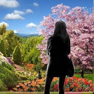 Finding Happiness - Rotten Tomatoes