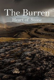 The Burren: Heart of Stone | Rotten Tomatoes
