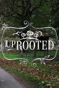 Uprooted: Season 1, Episode 6 | Rotten Tomatoes