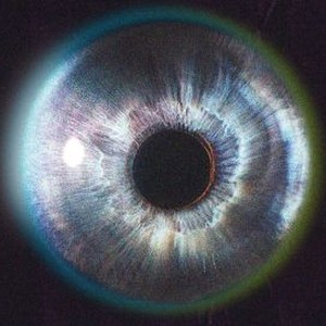 The Super Recogniser - Rotten Tomatoes