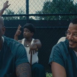 The System - Rotten Tomatoes